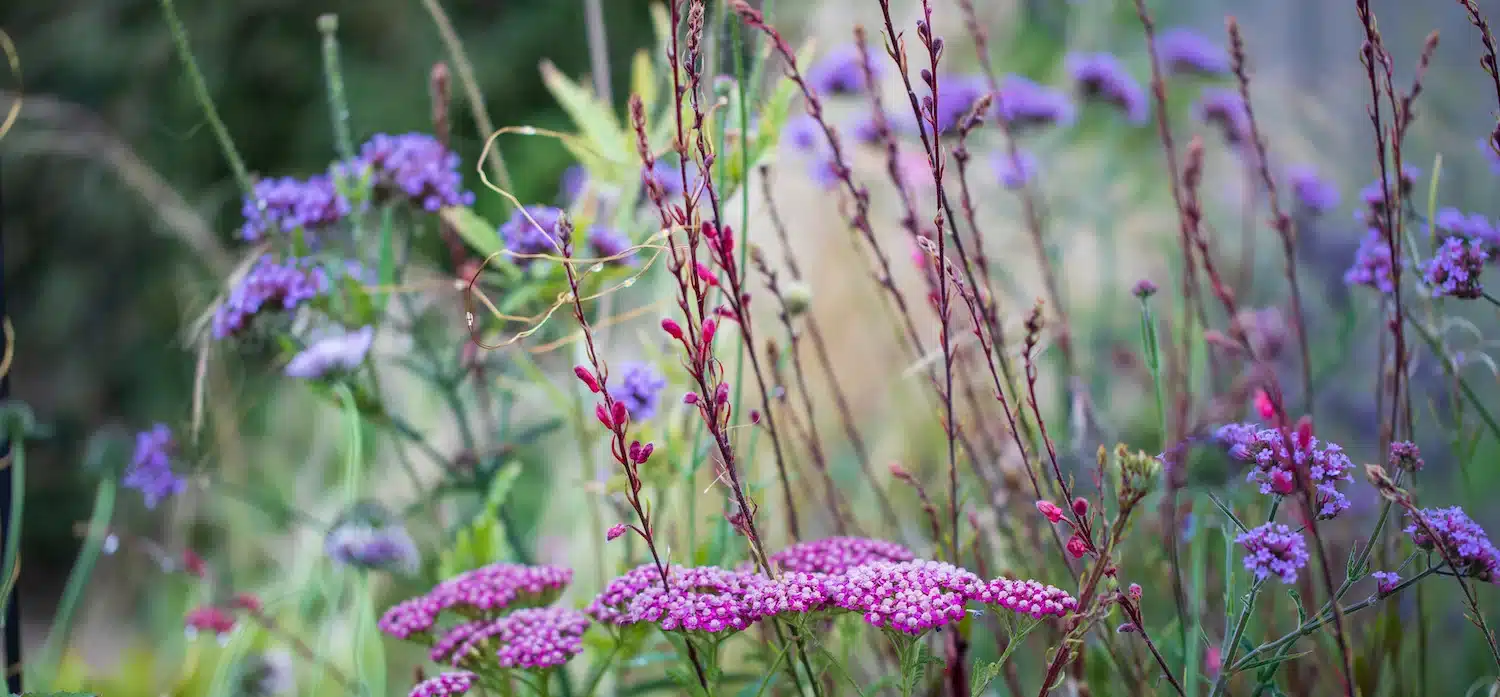 Quand la presse parle de Balcor Création
